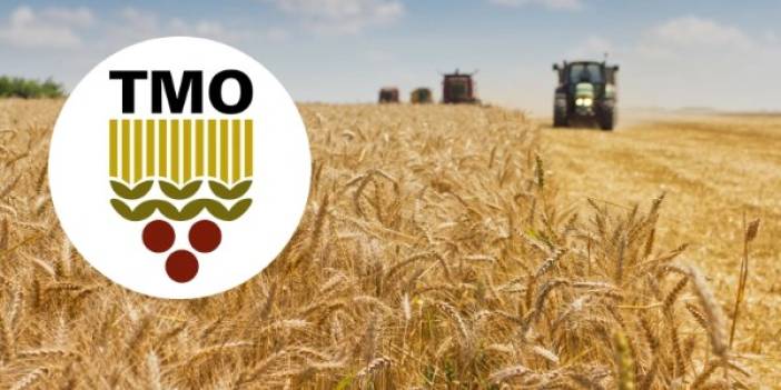 TMO 2026 Buğday ve Arpa Fiyatlarını Açıkladı