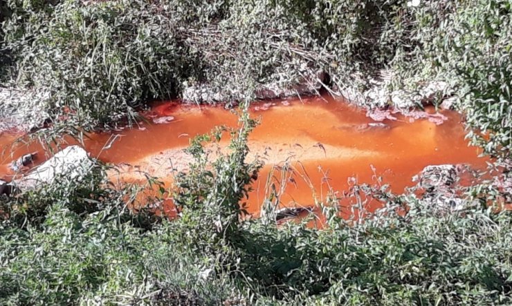 Bursa Kocasu deresinde çevre felâketi