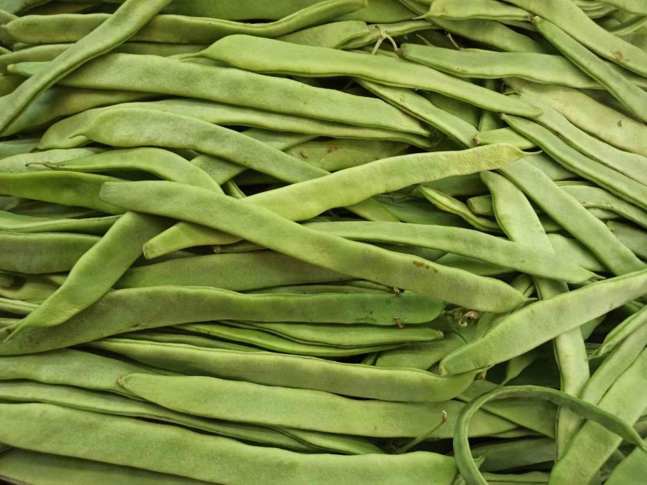 Pazarda sebze ve meyvenin fiyatı düştü, taze fasulyenin arttı