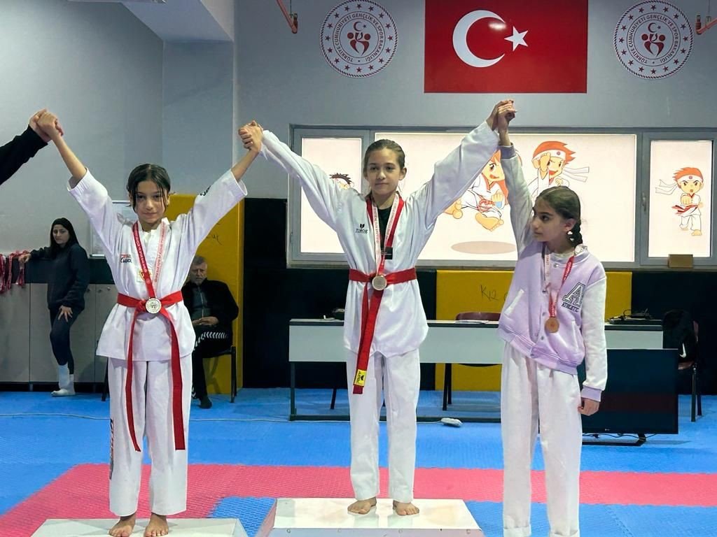 Tekvando şampiyonasına Altınova damgası